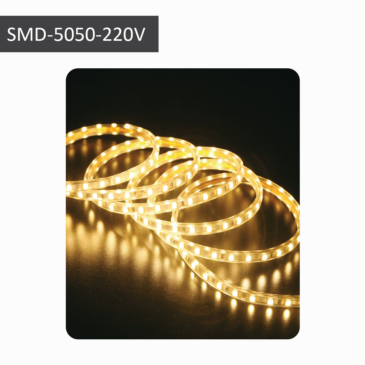 SMD-5050-220V – nooralux نورالوکس
